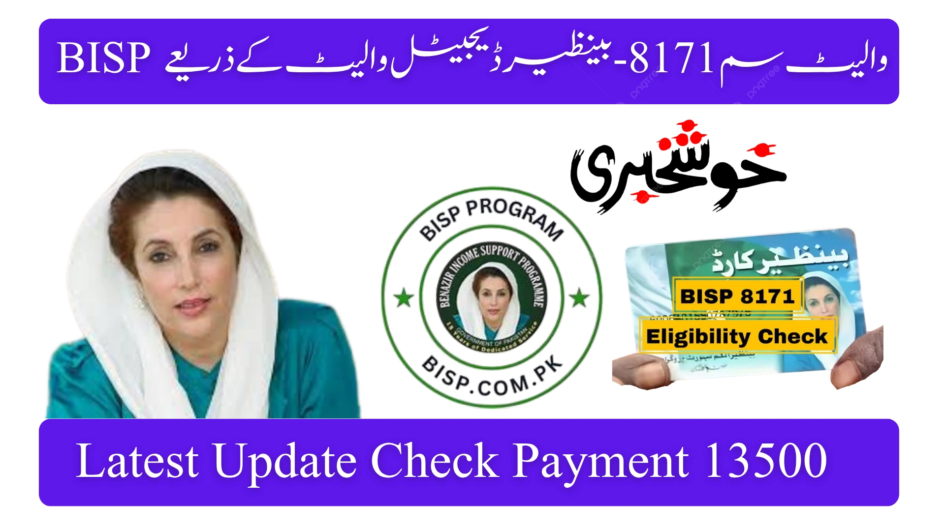 BISP Wallet SIM 8171 – Check 13500 Payment via Benazir Digital Wallet ...